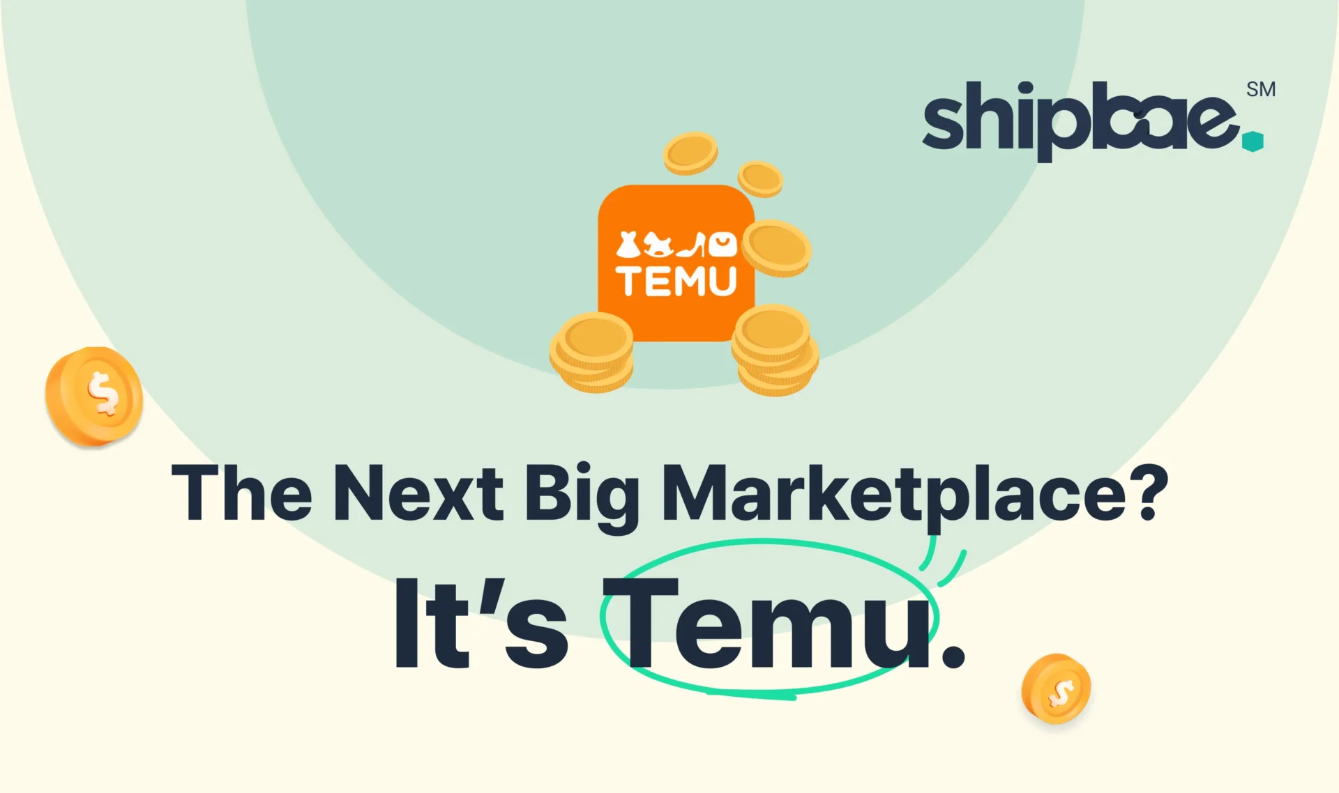 Your Gateway to Temu Success! Start Global Selling with ShipBae