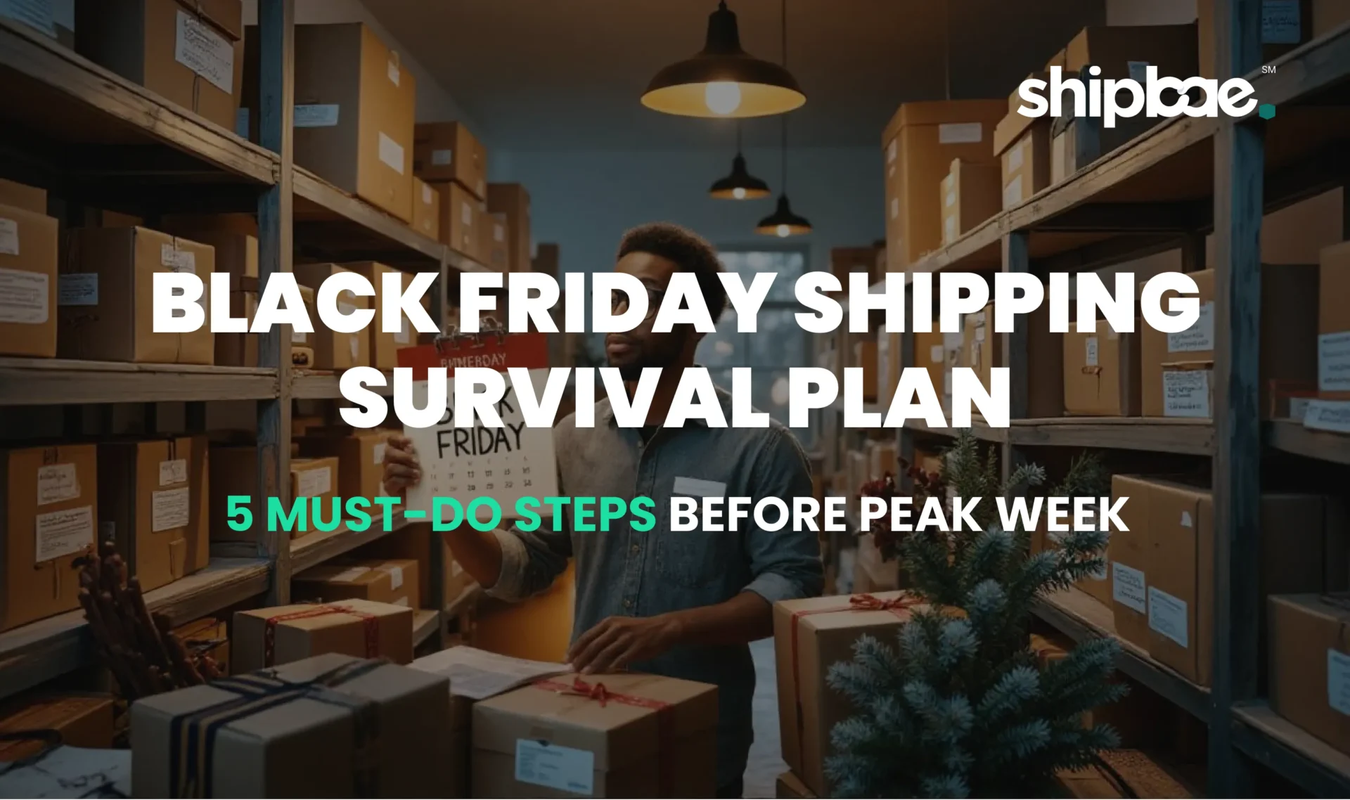 Your Black Friday Shipping Survival Plan: 5 Must-Do Steps Before Peak Week